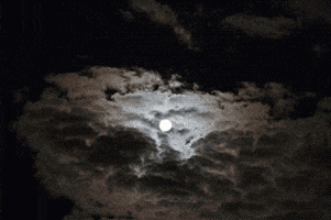 Full Moon Syzygy GIF by Miriam Ganser - Find & Share on GIPHY