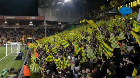 Norwichcity GIF by MolaTV - Find & Share on GIPHY