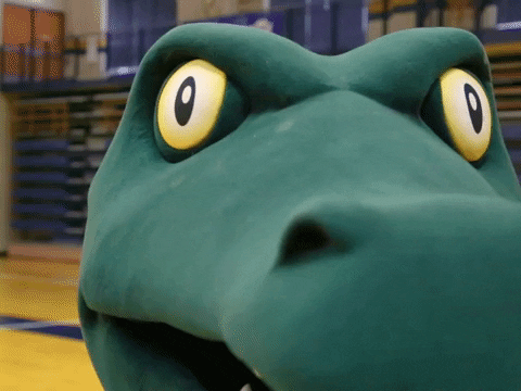 Do It Gator GIF by Allegheny College - Find & Share on GIPHY