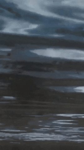 Loop Water GIF by Chris - Find & Share on GIPHY