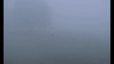 - Find & Share on GIPHY