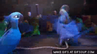 Rio GIF - Find & Share on GIPHY