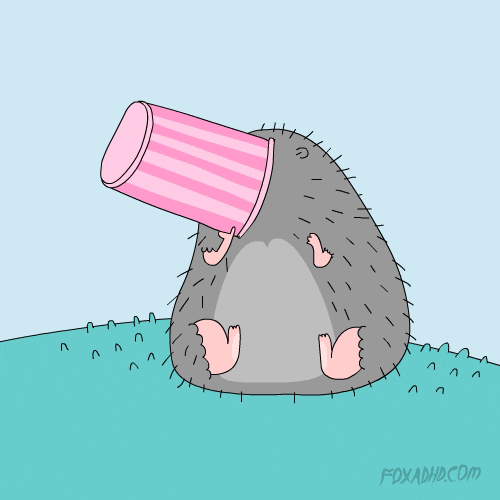 Fox Adhd GIF by Animation Domination High-Def - Find & Share on GIPHY