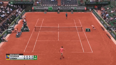 Alexander Zverev Atp GIF by Tennis Channel - Find & Share on GIPHY