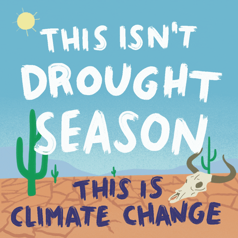 Blazing Weather Report GIF by INTO ACTION - Find & Share on GIPHY