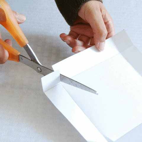 Photojojo GIF - Find & Share on GIPHY