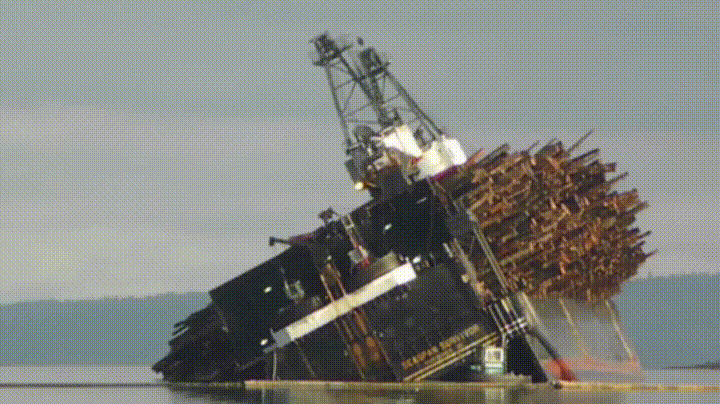 Esd GIFs - Get the best GIF on GIPHY