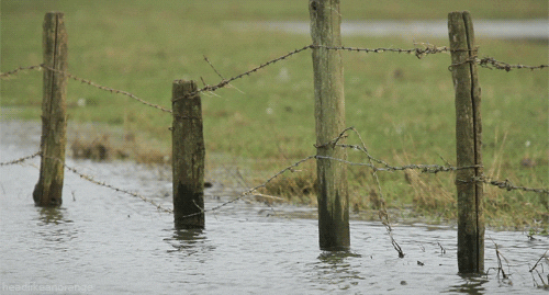 Barbed Wire Water GIF by Head Like an Orange - Find & Share on GIPHY