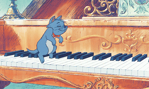 Cat Piano GIF - Find & Share on GIPHY