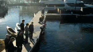 Water Jetpack Gif