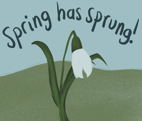 Flower Spring GIF - Find & Share on GIPHY
