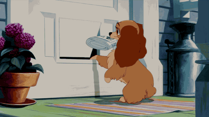 Lady And The Tramp Lol GIF by Disney - Find & Share on GIPHY
