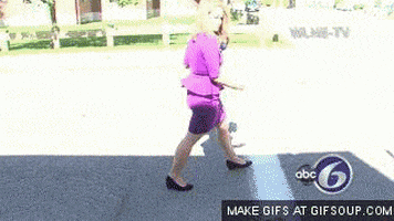 Dog Chasing GIF - Find & Share on GIPHY