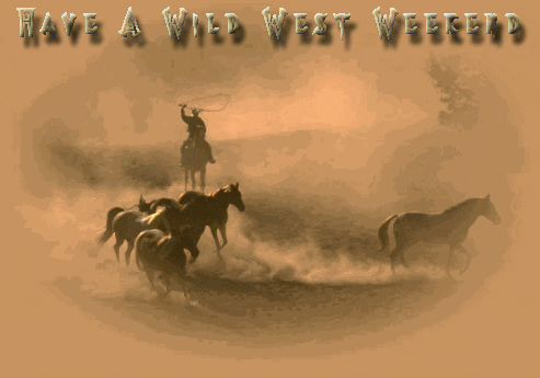 Wild GIF - Find & Share on GIPHY