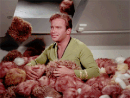 The Trouble With Tribbles GIFs - Find & Share on GIPHY