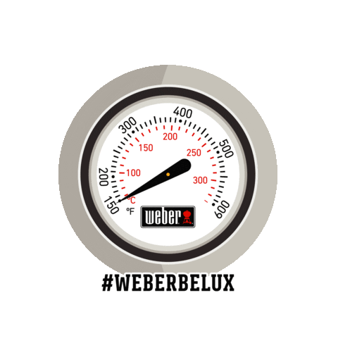 Bbq Grill Sticker by Weber Benelux for iOS & Android | GIPHY