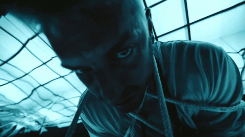 Full Gif Action