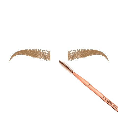 Makeup Brows Sticker by Patrick Ta Beauty for iOS & Android | GIPHY