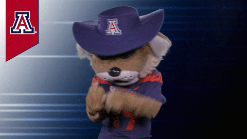 University Of Arizona GIF by College Colors Day - Find & Share on GIPHY