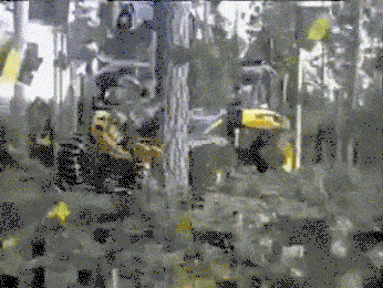 Treecutting GIFs - Find & Share on GIPHY