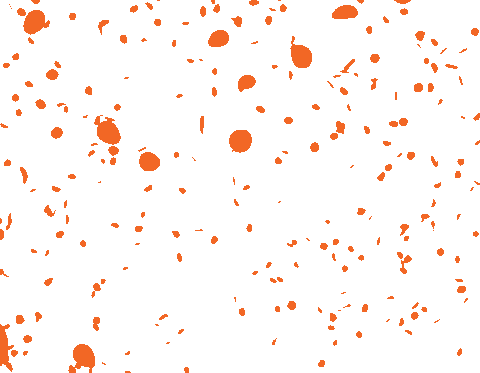 Confetti Think Orange Sticker by Orange Leaders for iOS & Android | GIPHY