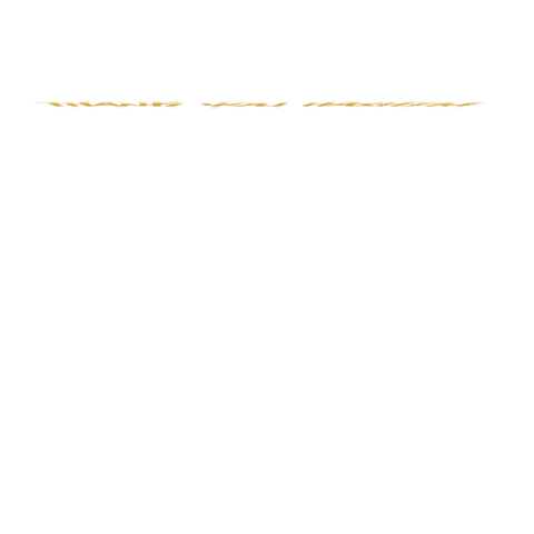 Passover Matzah GIF by tyhnation - Find & Share on GIPHY