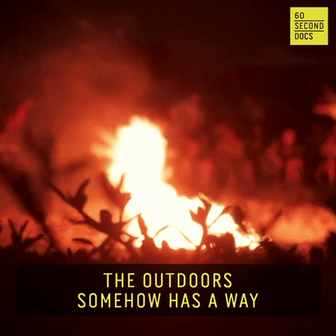 Beach Fire Bonfire GIF by 60 Second Docs - Find & Share on GIPHY