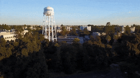 University Of California GIF by UC Davis - Find & Share on GIPHY