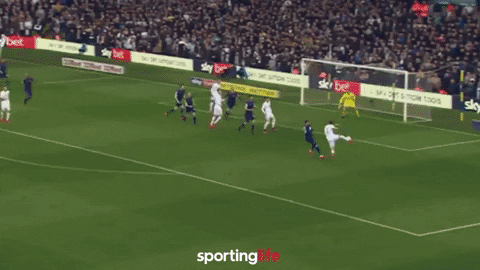 Championship Football Gifs GIF by Sporting Life - Find & Share on GIPHY