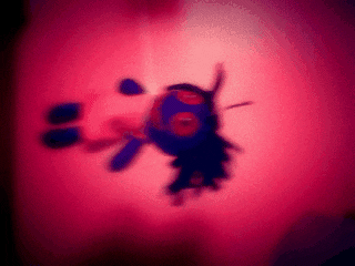 Disturbing Animated Gif