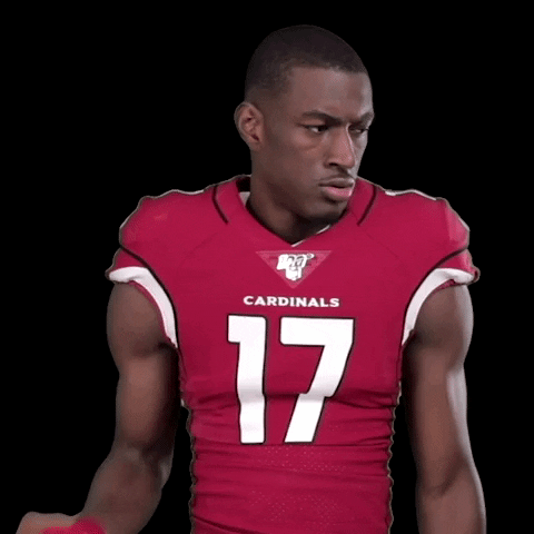 Arizona Cardinals Hakeem Butler GIF by NFL - Find & Share on GIPHY