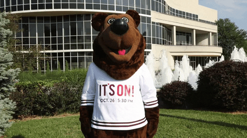 Missouri State University GIF - Find & Share on GIPHY