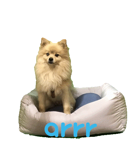 아르르 Sticker by arrr_official for iOS & Android | GIPHY