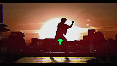 Fury Kung GIF - Find & Share on GIPHY