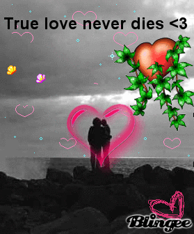 True Love GIFs - Find & Share on GIPHY