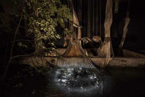 Street Art Loop GIF by A. L. Crego - Find & Share on GIPHY