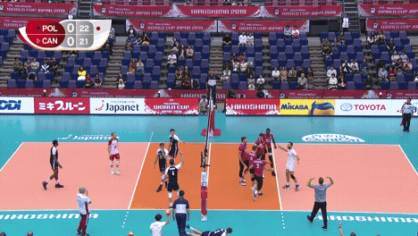 GIF by Volleyball World - Find & Share on GIPHY