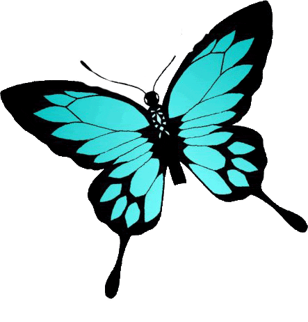 Blue Butterfly Animation
