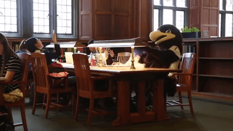 Mascot Study GIF by Lehigh University - Find & Share on GIPHY