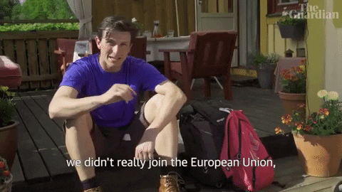 European Union Europe GIF by guardian - Find & Share on GIPHY
