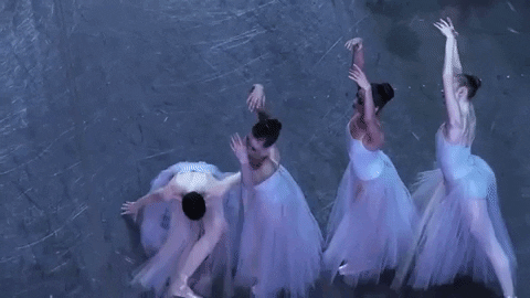 Dance GIF by New York City Ballet - Find & Share on GIPHY