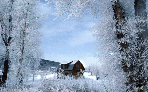 Natural Beauty GIF - Find & Share on GIPHY