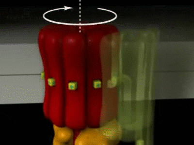 Atp GIF - Find & Share on GIPHY