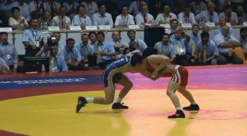 Wrestling GIF - Find & Share on GIPHY