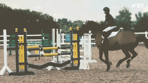 Jump Kiss GIF by FEI Global - Find & Share on GIPHY