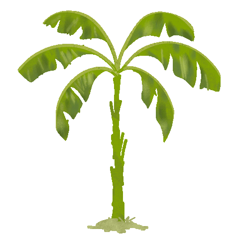 Banana Tree Boho Sticker for iOS & Android | GIPHY