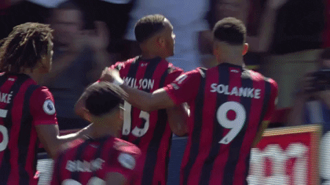 Football Soccer GIF by AFC Bournemouth - Find & Share on GIPHY