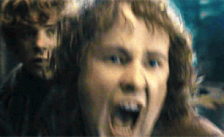 Samwise Gamgee GIF - Find & Share on GIPHY
