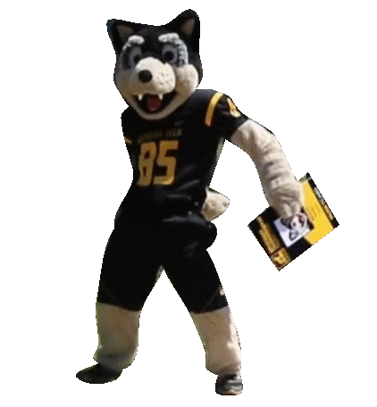 danghieu1407 (Nguyen Dang Hieu) · GitHub