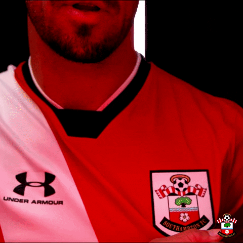 Premier League Football GIF by Southampton FC - Find & Share on GIPHY